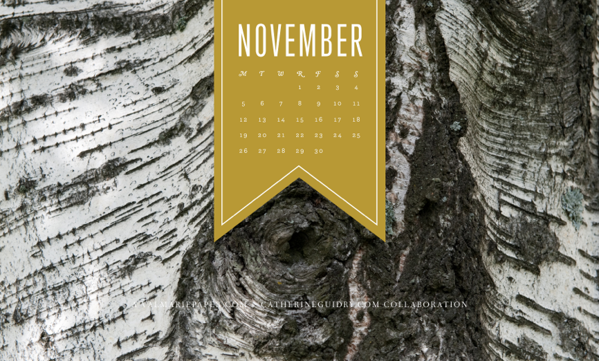 November Backdrop :: - Catherine Guidry Photography